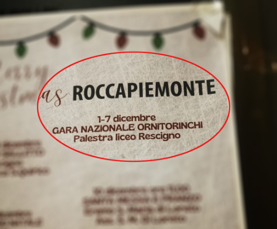 Roccapiemonte, spunta una gara tra…ornitorinchi - La Città di Salerno