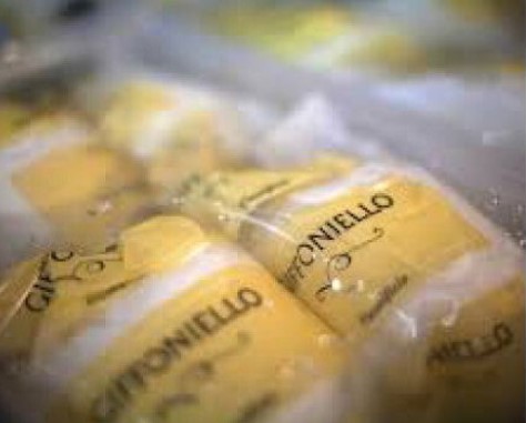 Tracciabilità dei prodotti con un QR Code - La Città di Salerno